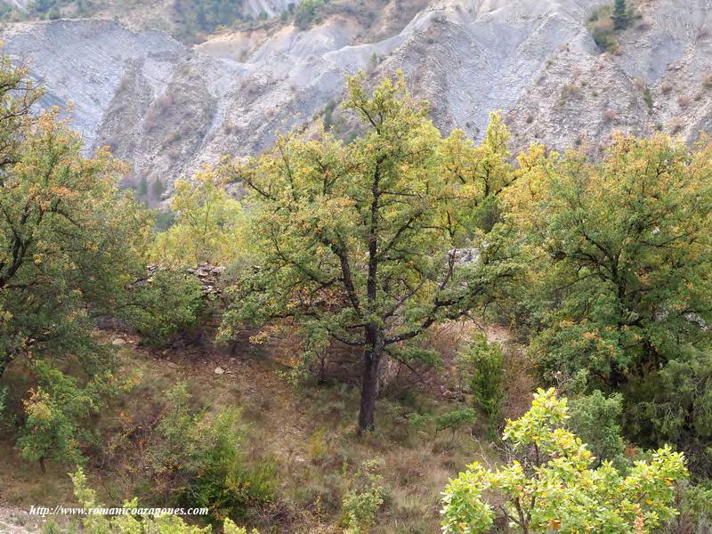 NAVARRI. ERMITA DE SAN CLEMENTE- RUTAS ROMANICAS POR EL ALTOARAGON-A ...