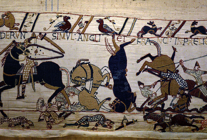 ANOLL ¿UN ERROR DE ESCRITURA?